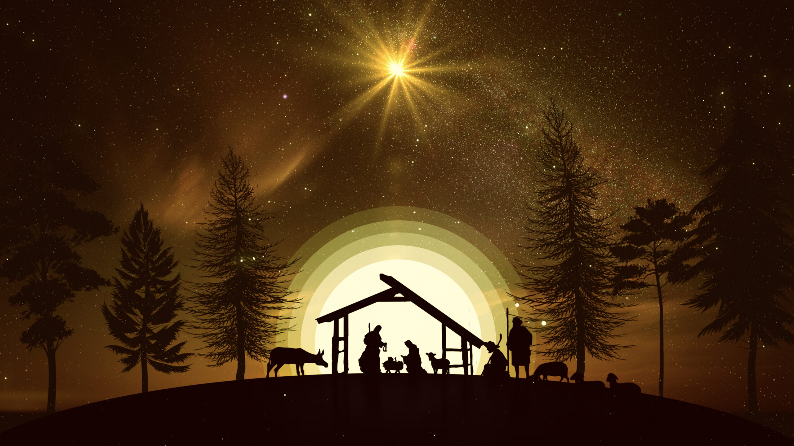 A Legal Look At the Birth Of Jesus | Nashville Christian Family Magazine