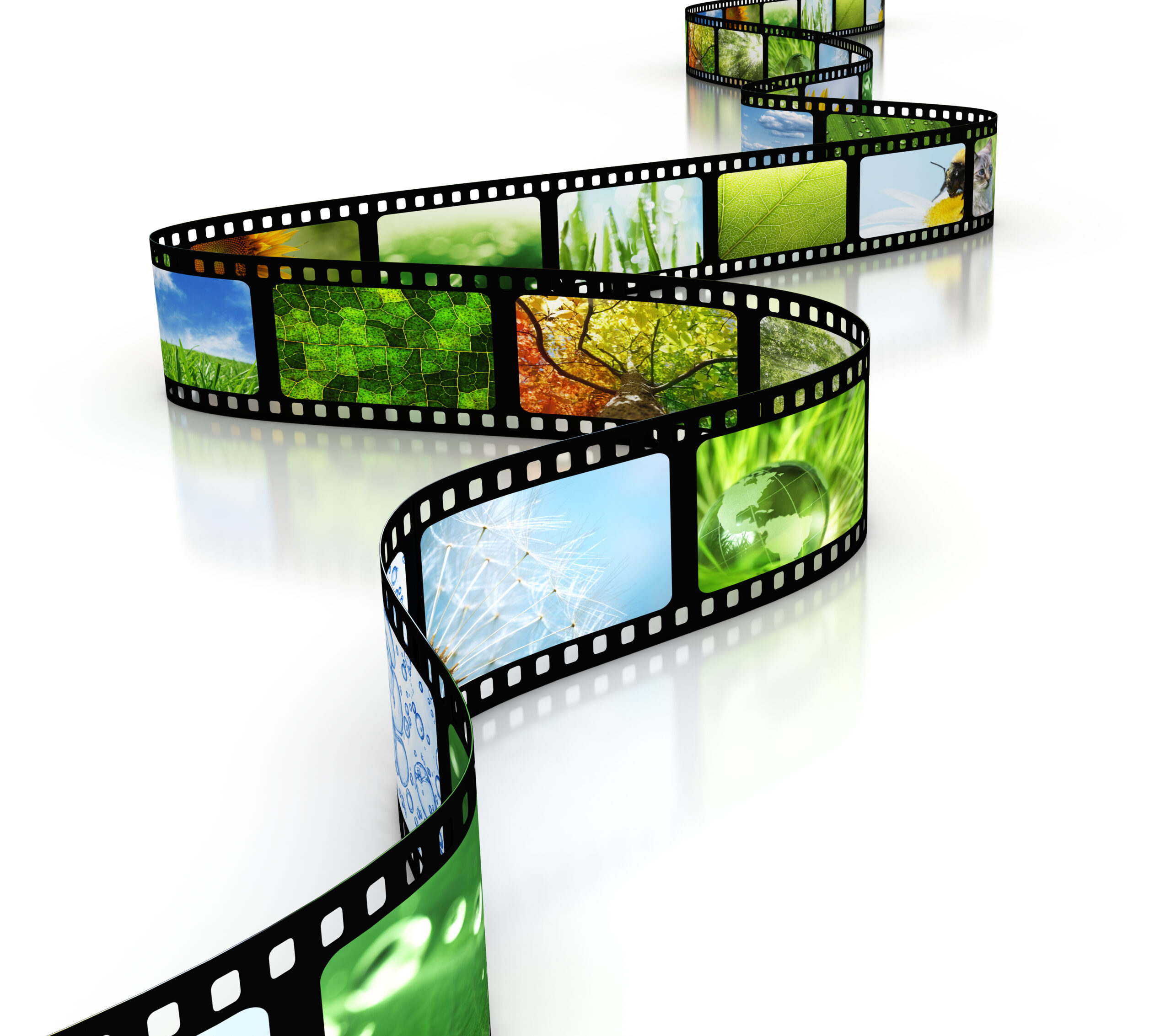 The State of Faith and Family Entertainment in 2024 | Nashville ...